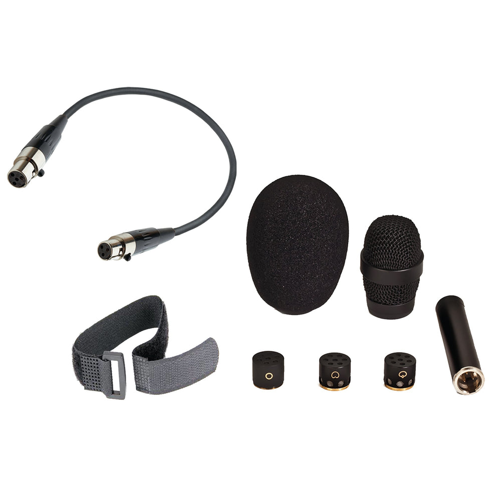 A Value-Packed Wireless Choir Mic with Interchangeable Capsules ...